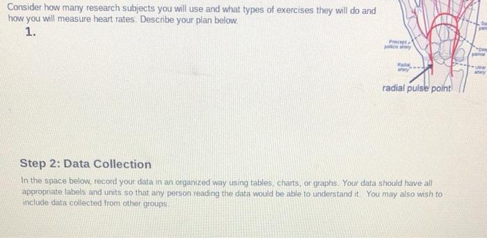 Solved Investigation: How Does Exercise Affect Heart Rate? | Chegg.com