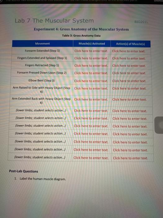 Solved Lab 7 The Muscular System BIO 2011 Experiment 2: The | Chegg.com