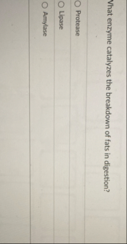 Solved What enzyme catalyzes the breakdown of fats in | Chegg.com