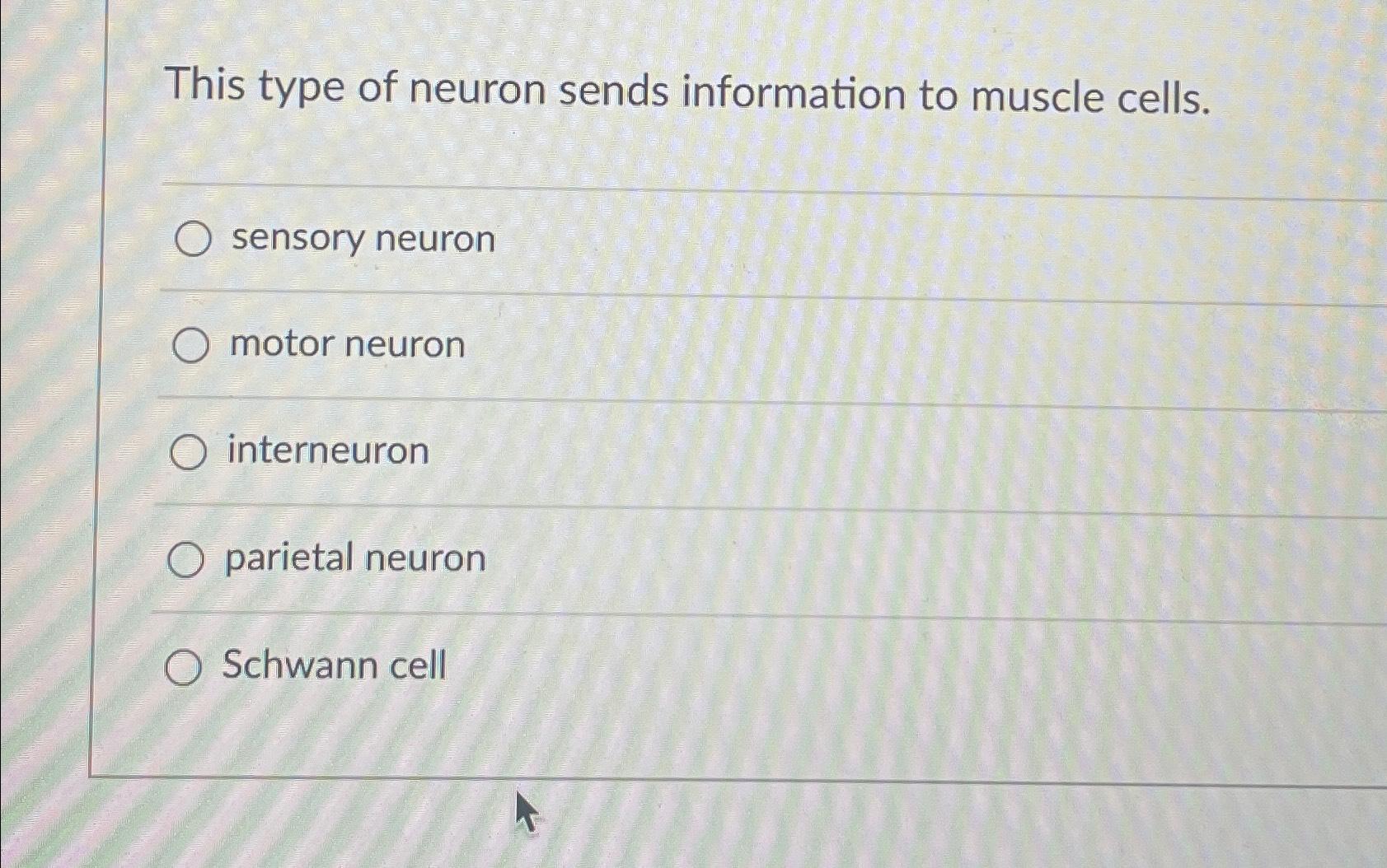 Solved This type of neuron sends information to muscle | Chegg.com