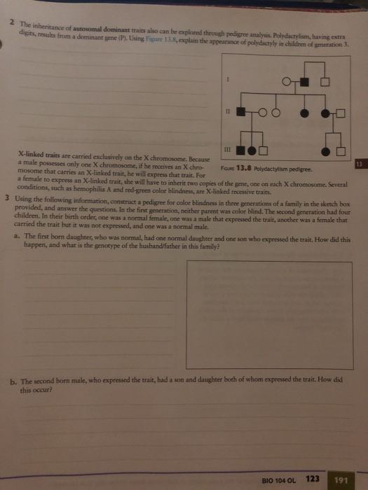 Solved The inheritance of autosomal dominant traits also can | Chegg.com