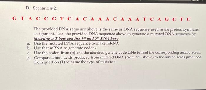Solved The provided DNA sequence above is the same as DNA | Chegg.com