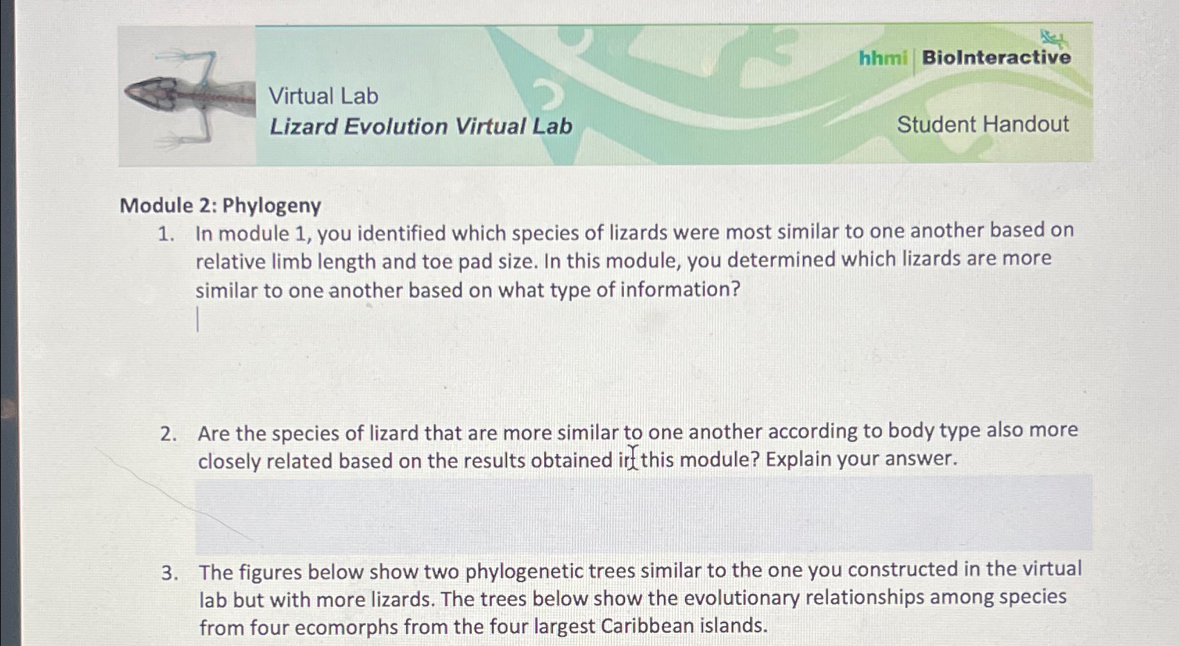 Solved Module 2: PhylogenyIn module 1, ﻿you identified which | Chegg.com