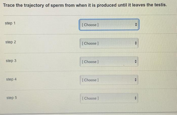 Solved Trace the trajectory of sperm from when it is | Chegg.com