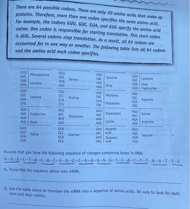 Solved There are 64 possible codons. There are only 20 amino | Chegg.com