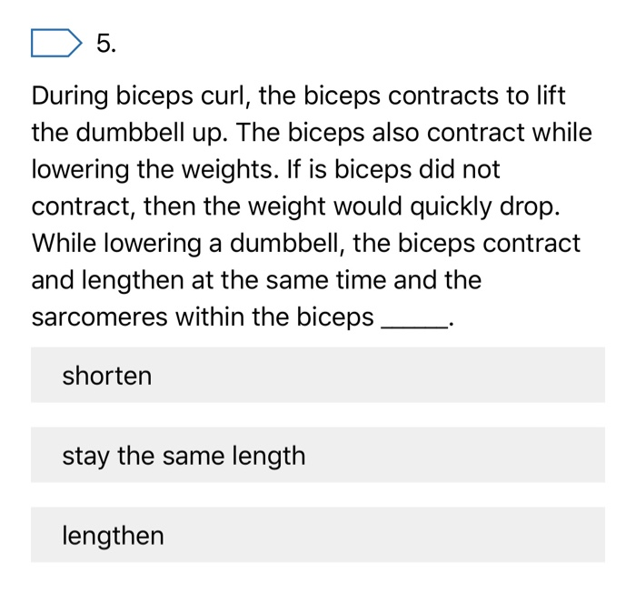 Solved 5. During biceps curl, the biceps contracts to lift | Chegg.com