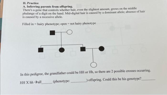 Solved II. Practice A. Inferring parents from offspring. | Chegg.com