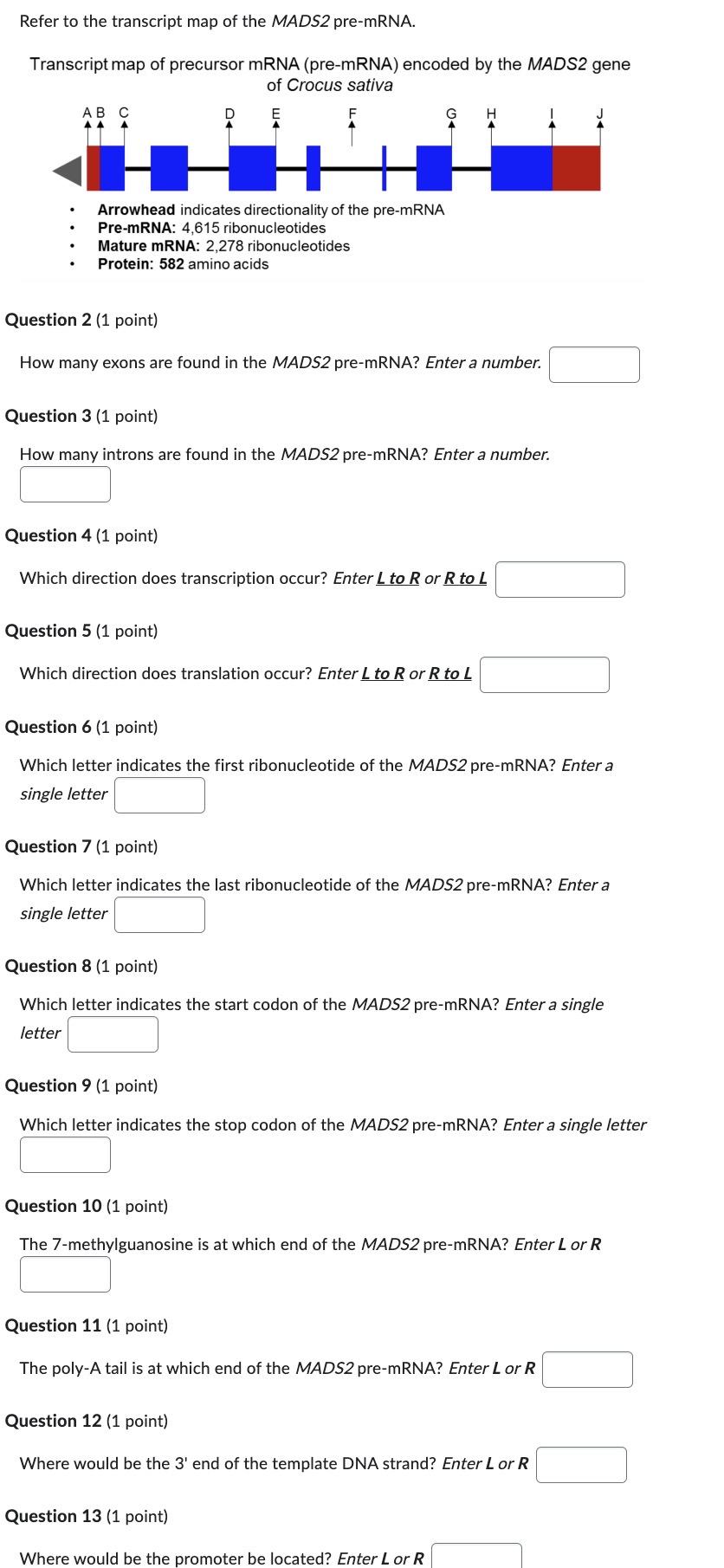 Solved Refer to the transcript map of the MADS2 | Chegg.com
