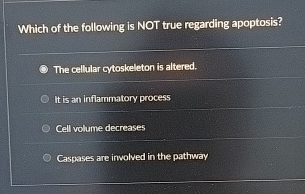 Solved Which of the following is NOT true regarding | Chegg.com