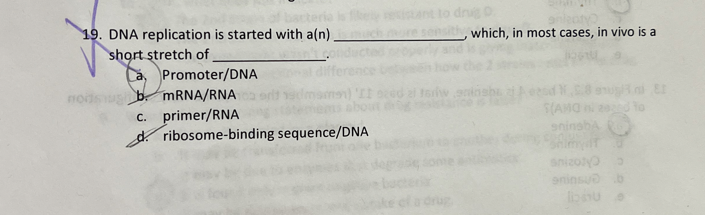 Solved DNA replication is started with a( ﻿n), ﻿which in | Chegg.com
