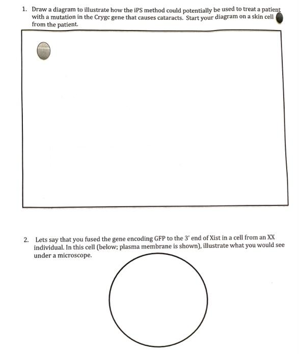 Solved 1. Draw a diagram to illustrate how the iPS method | Chegg.com