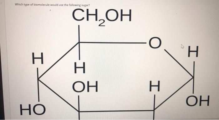 Solved Which type of biomolecule would use the following | Chegg.com
