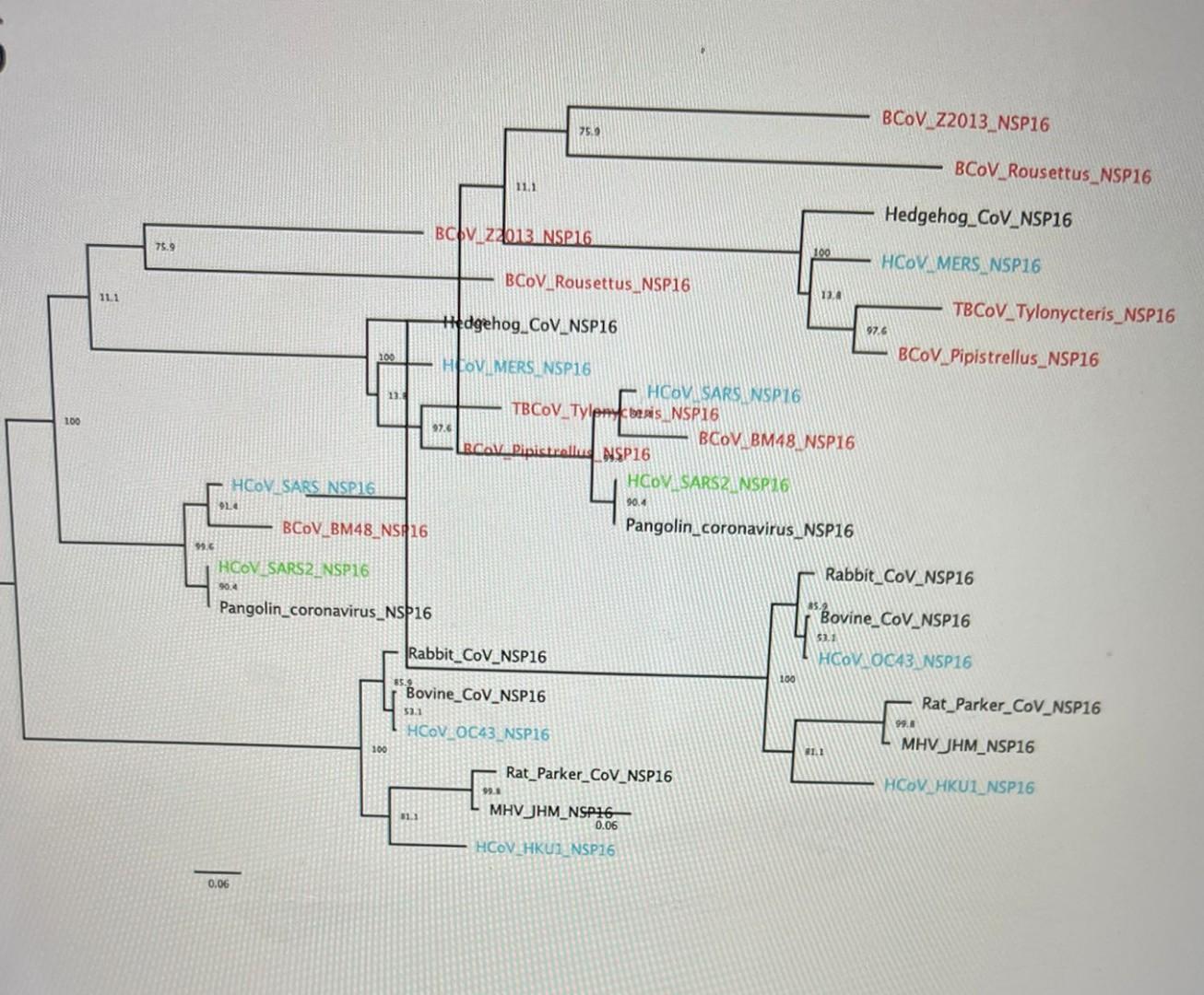 Solved Writing summary Write a concise method section | Chegg.com