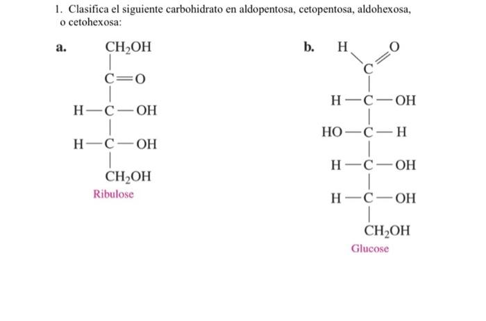 Solved 1. Clasifica el siguiente carbohidrato en | Chegg.com