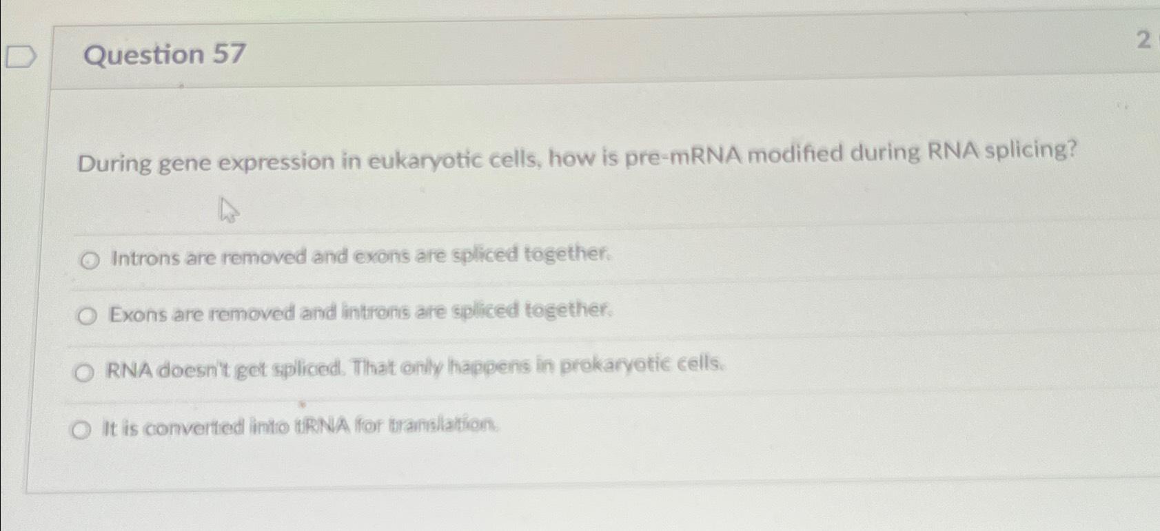 Solved Question 57During gene expression in eukaryotic | Chegg.com