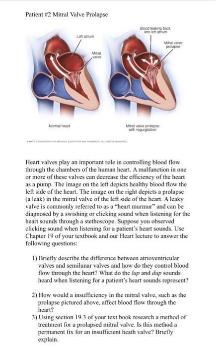 Solved Patient #2 Mitral Valve Prolapse Blood leaking back | Chegg.com