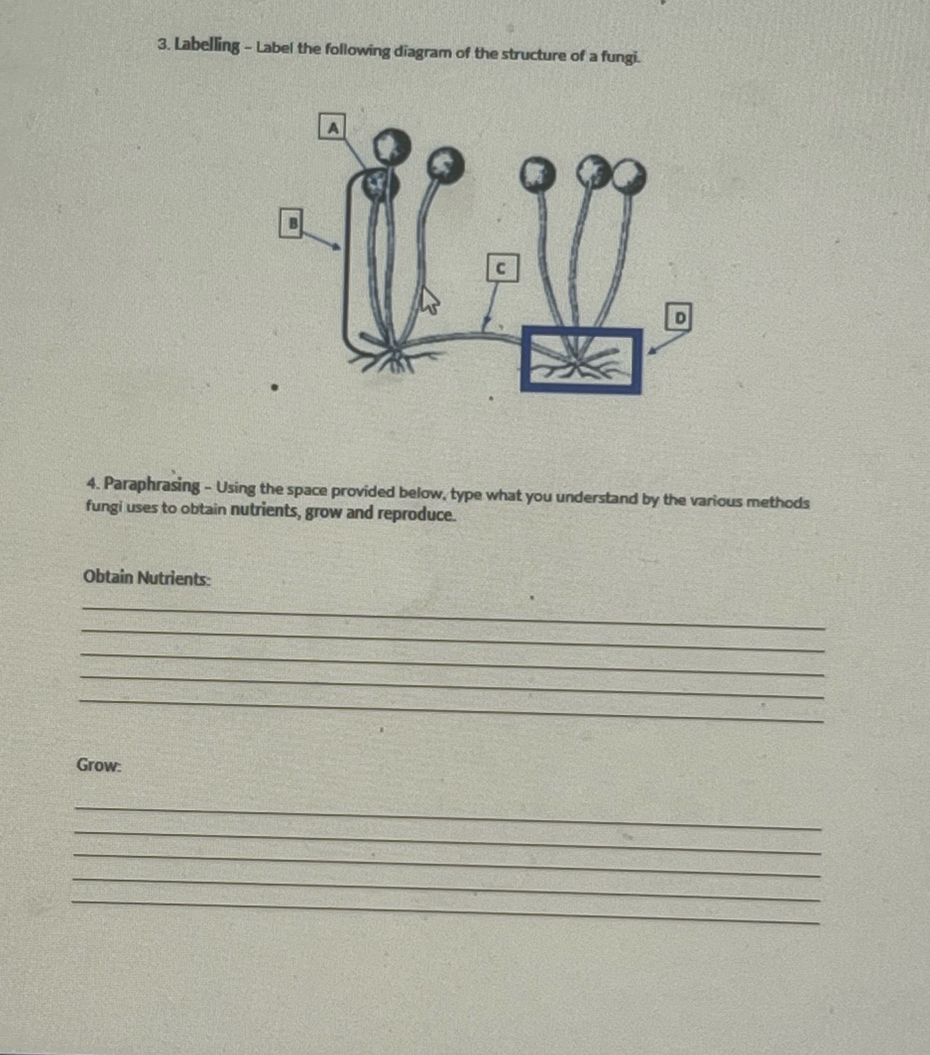 Solved Labelling - ﻿Label the following diagram of the | Chegg.com