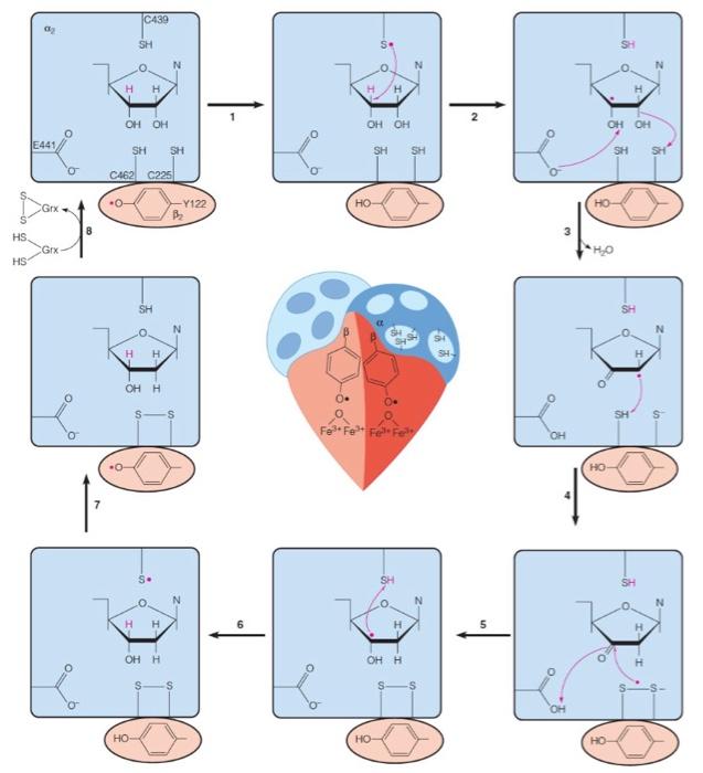 Solved Question | Chegg.com