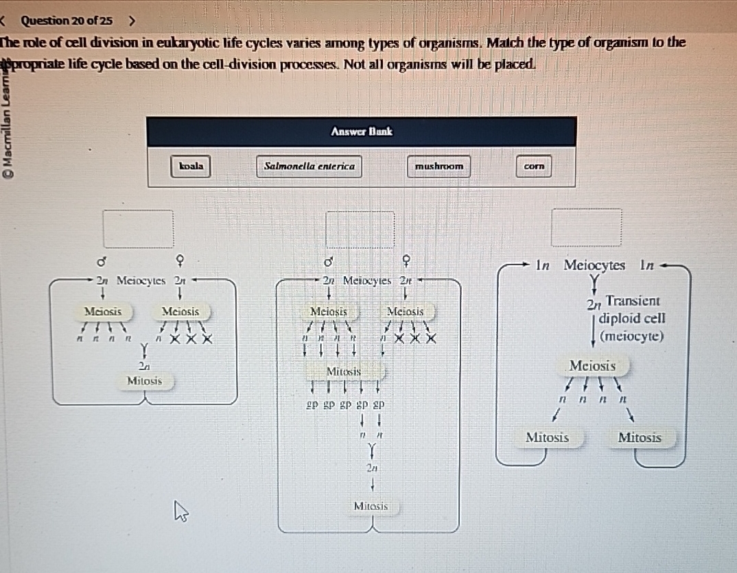 Solved Question 20 of 25the role of cell division in | Chegg.com Solved Question 20 of 25the role of cell division in | Chegg.com