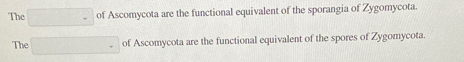 Solved The of Ascomycota are the functional equivalent of | Chegg.com