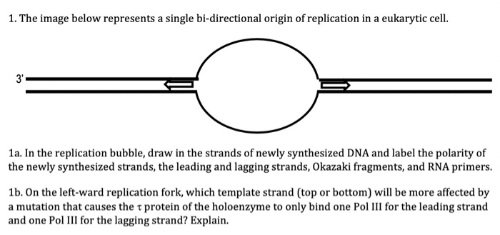 Solved 1. The image below represents a single bi-directional | Chegg.com