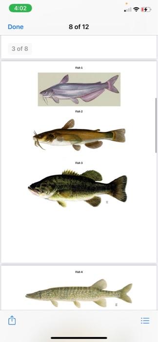 Solved Name Class Using and Making a Biological Key - Answer | Chegg.com