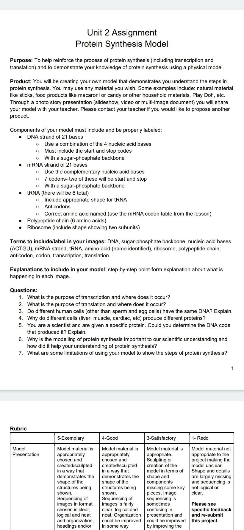Solved Protein Synthesis Model Purpose: To help reinforce | Chegg.com