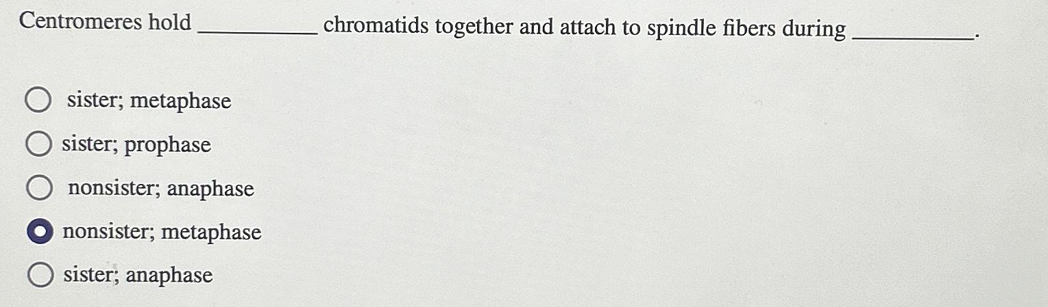 Solved Centromeres hold chromatids together and attach to | Chegg.com