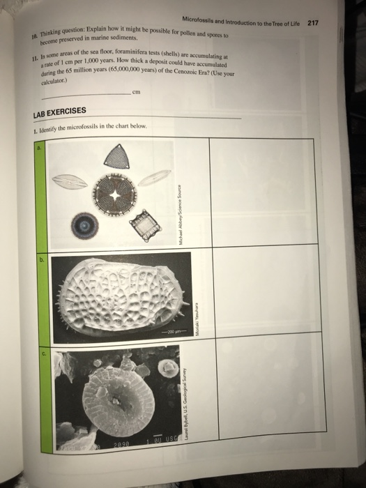 216 Microfossils and introduction to the Tree of | Chegg.com