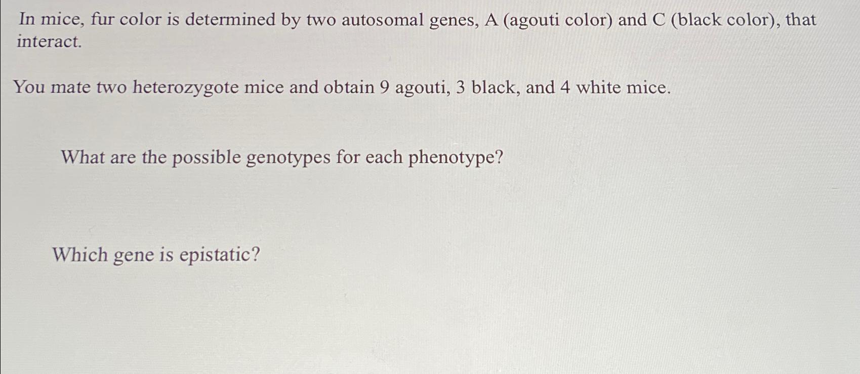 Solved In mice, fur color is determined by two autosomal | Chegg.com
