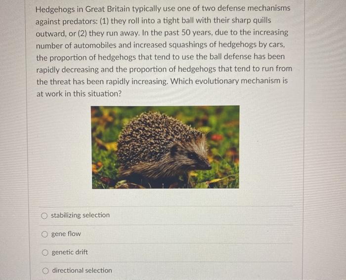 Solved Hedgehogs in Great Britain typically use one of two | Chegg.com