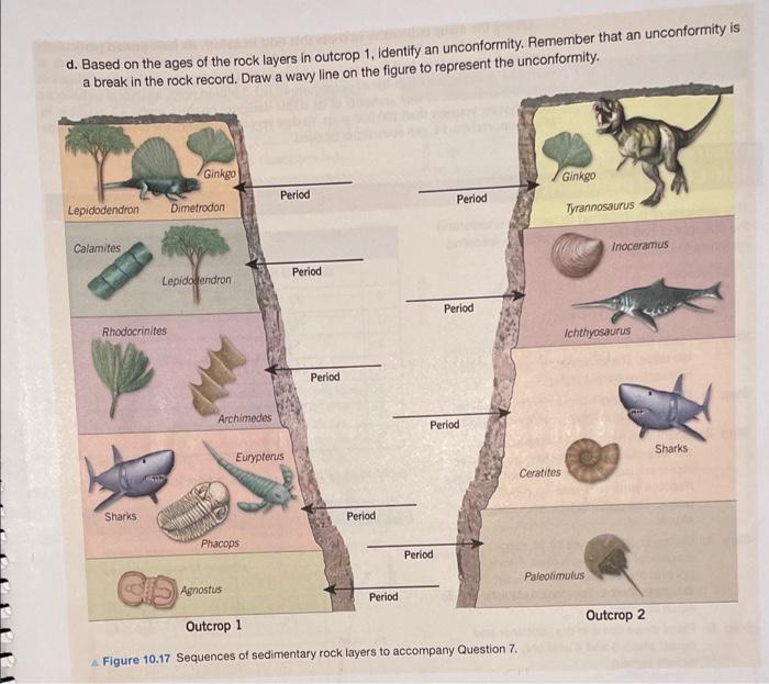 Solved 4. What is the geologic range of the fossil shown in | Chegg.com