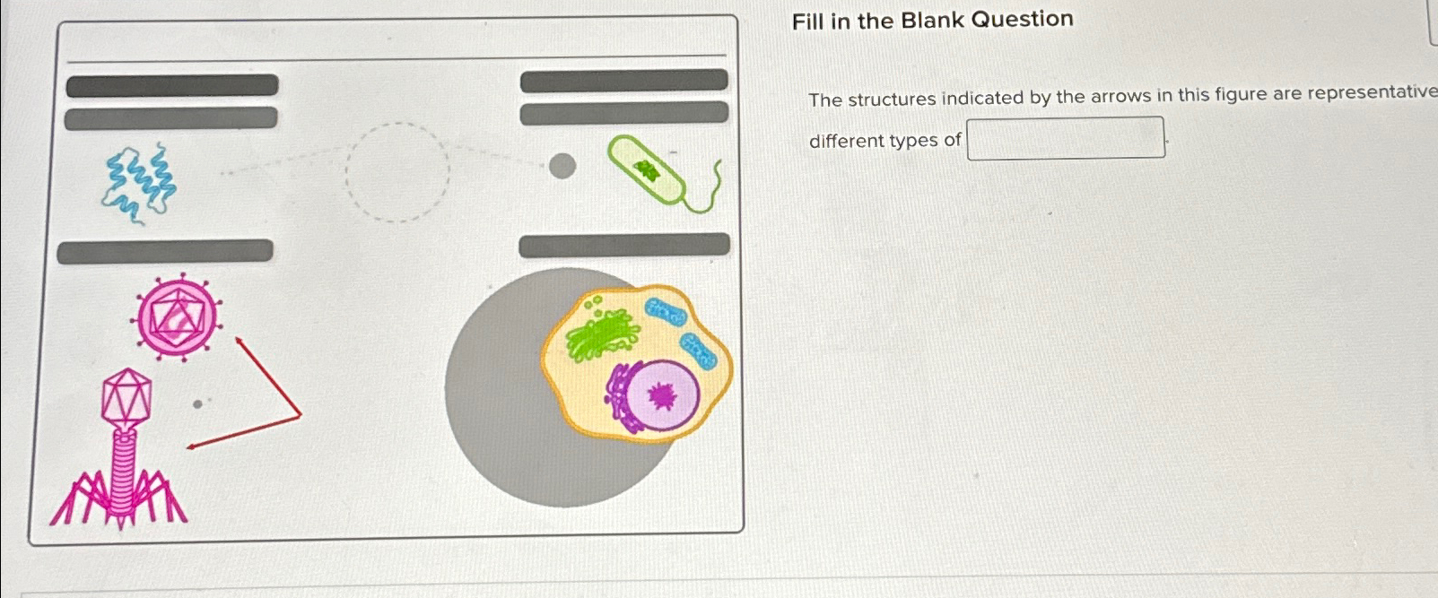 Solved Fill in the Blank QuestionThe structures indicated by | Chegg.com Solved Fill in the Blank QuestionThe structures indicated by | Chegg.com