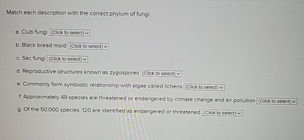 Solved Match each description with the correct phylum of | Chegg.com