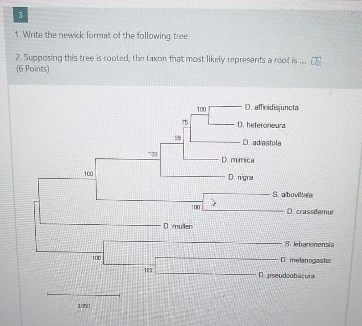 Solved 3 3 1. Write the newick format of the following tree | Chegg.com