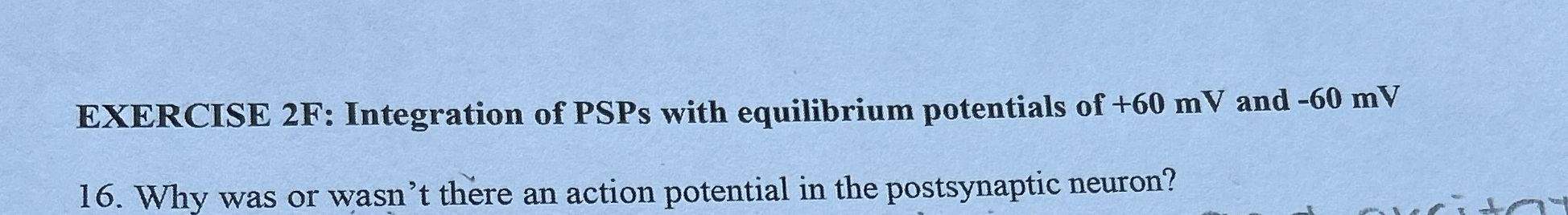 Solved EXERCISE 2F: Integration of PSPs with equilibrium | Chegg.com