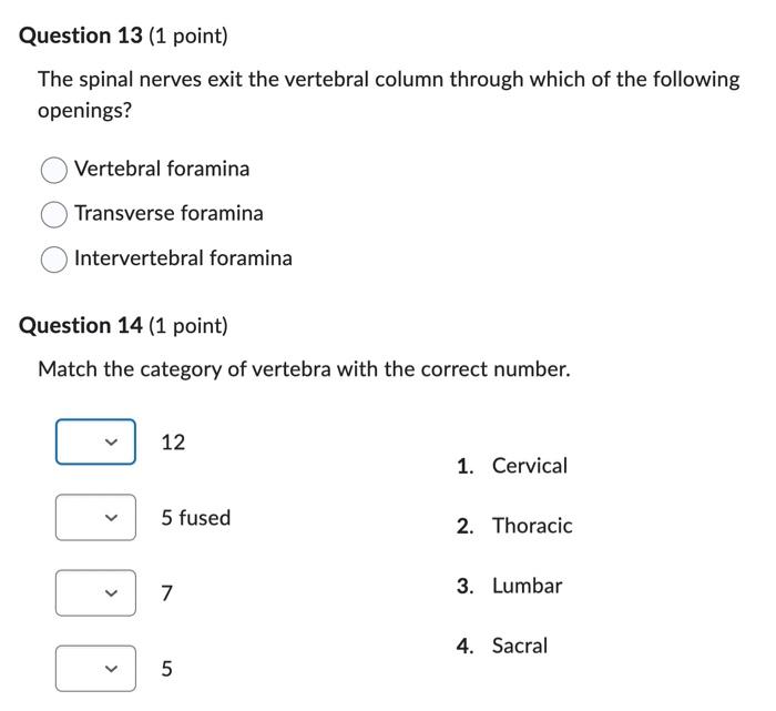 Solved The spinal nerves exit the vertebral column through | Chegg.com