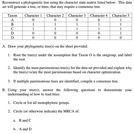 Reconstruct a phylogenetic tree using the character | Chegg.com