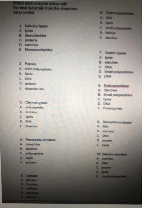 Solved Match each enzyme below with the best substrate from | Chegg.com