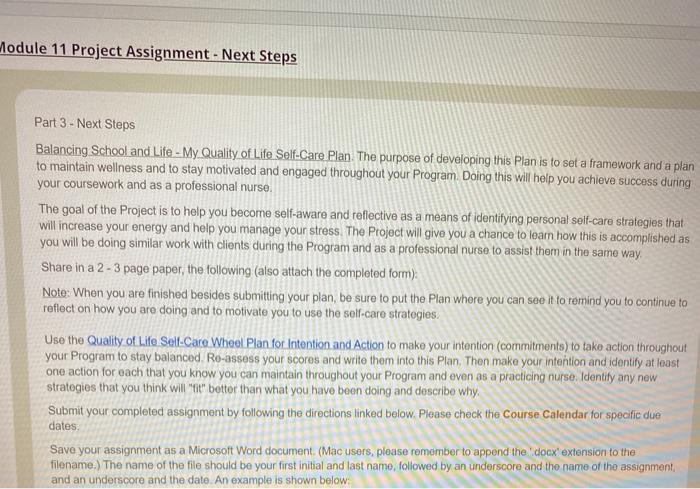 Solved Module 11 Project Assignment - Next Steps Part 3 - | Chegg.com