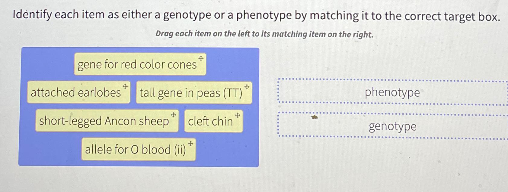 Solved Identify each item as either a genotype or a | Chegg.com