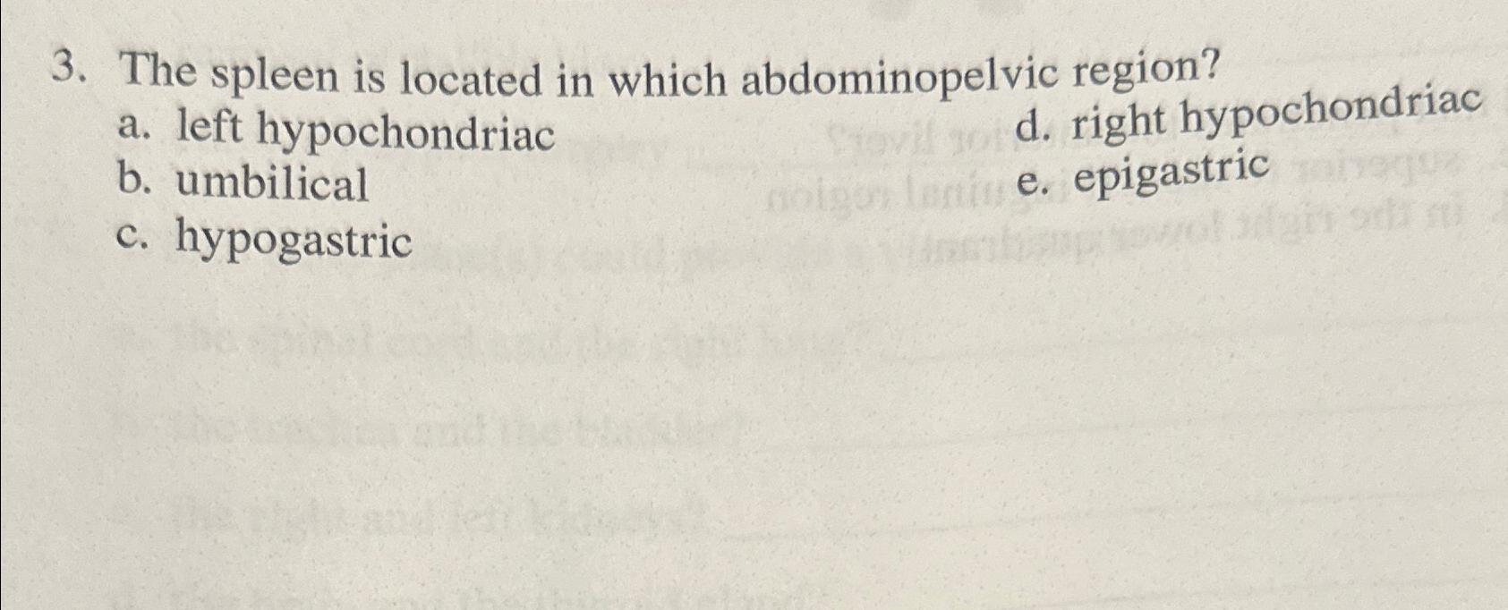 Solved The spleen is located in which abdominopelvic | Chegg.com