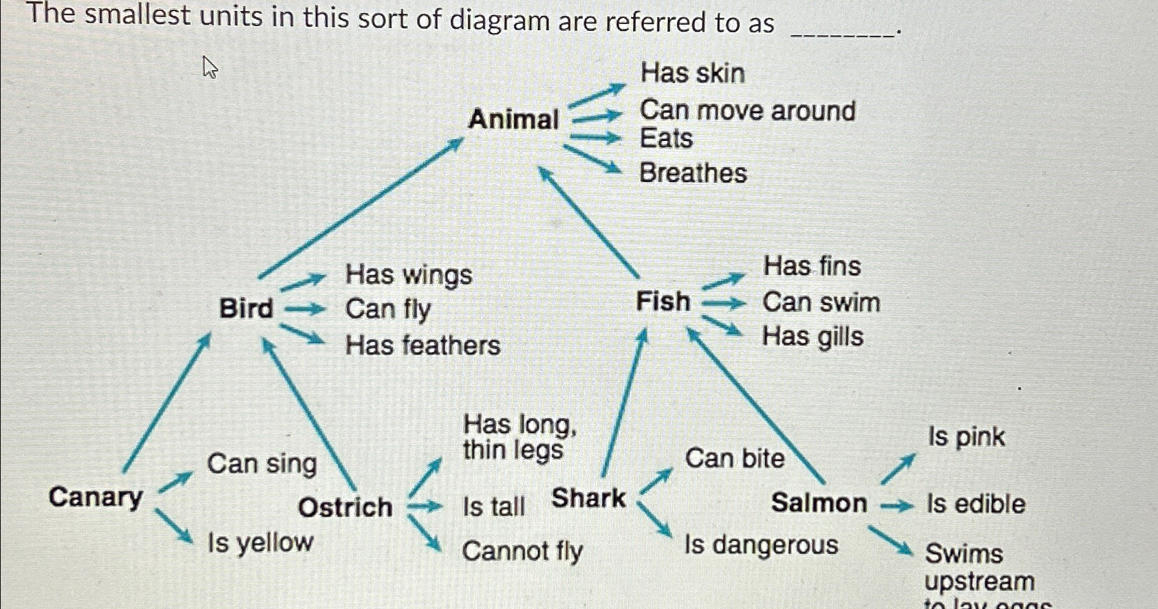 Solved The smallest units in this sort of diagram are | Chegg.com