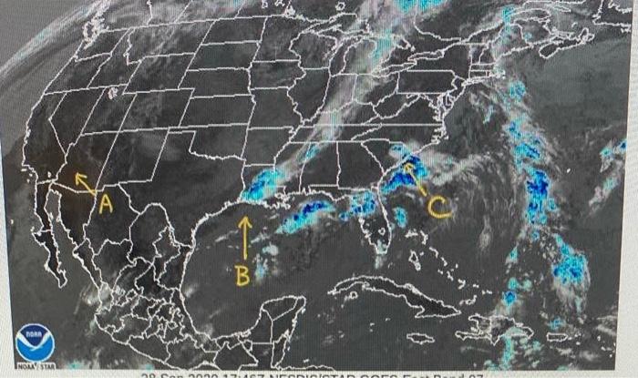 А. "В NORA WASTON VUULO Place the three points in | Chegg.com