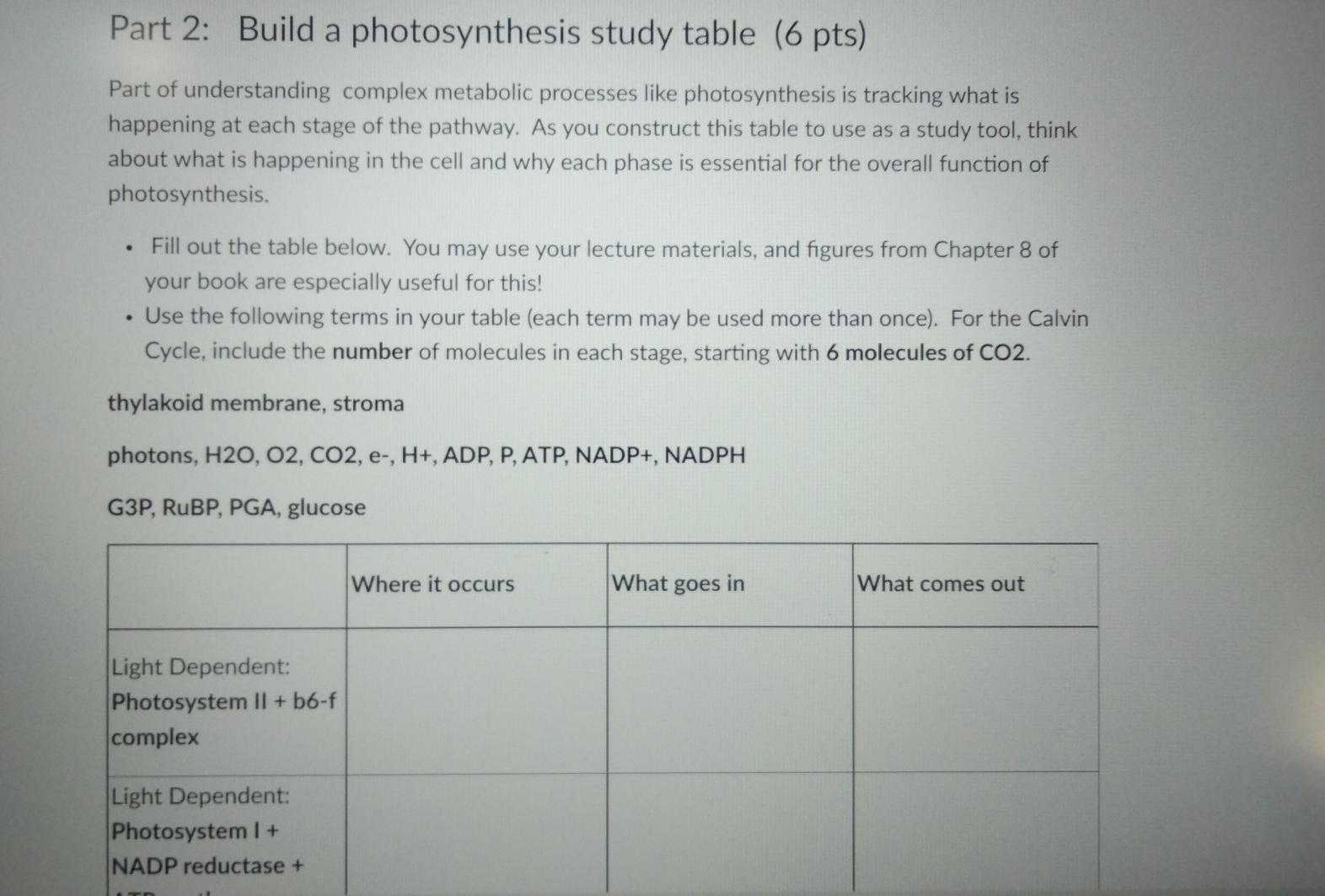 Solved Part 2: Build a photosynthesis study table (6 pts) | Chegg.com