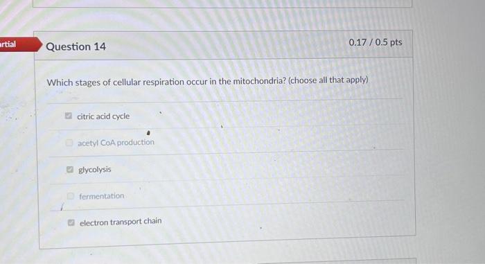 Solved What Condition Does Fermentation Require No 5352