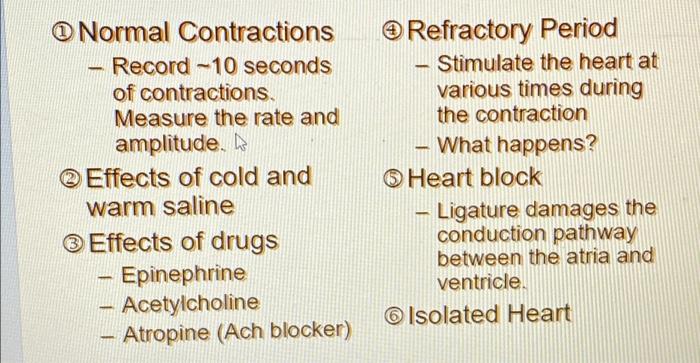 - Normal Contractions - Record -10 seconds of | Chegg.com