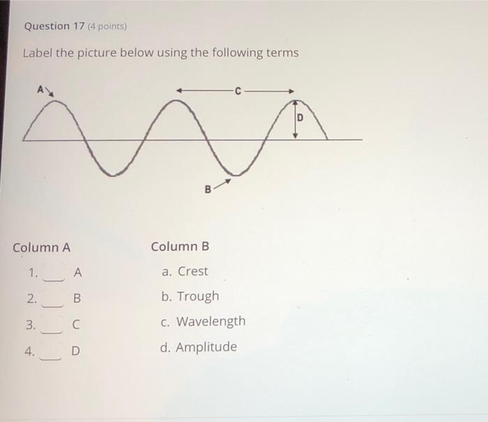 Solved Question 17 (4 points) Label the picture below using | Chegg.com