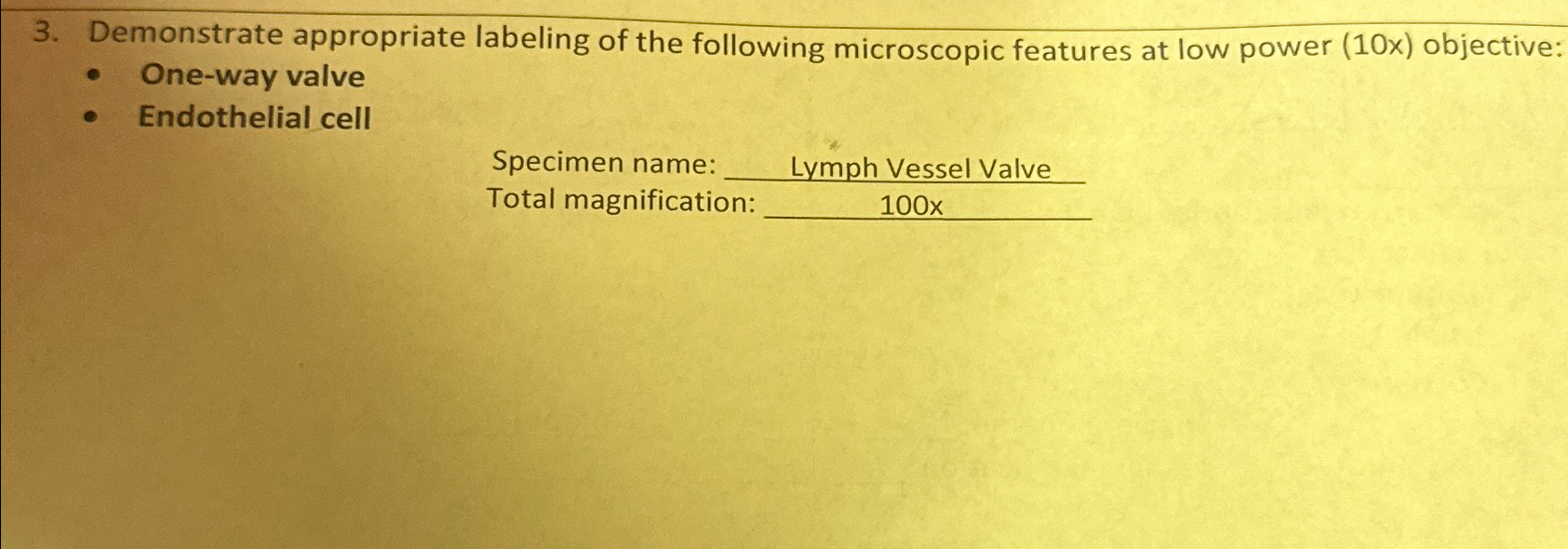 Solved Demonstrate appropriate labeling of the following | Chegg.com
