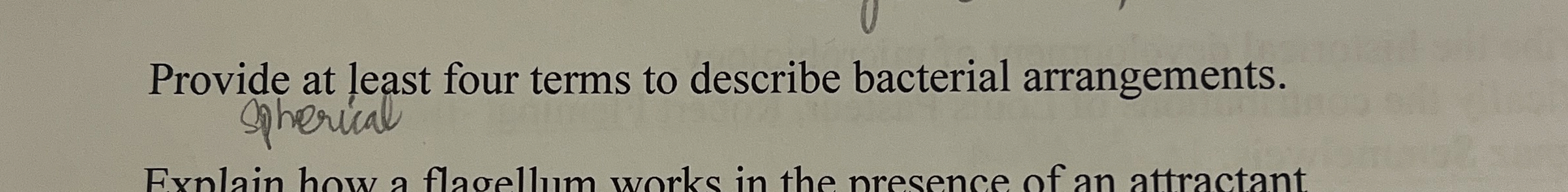 Solved Provide at least four terms to describe bacterial | Chegg.com